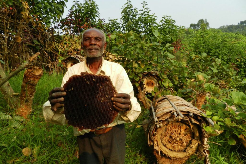 Our Producers – Bee Light